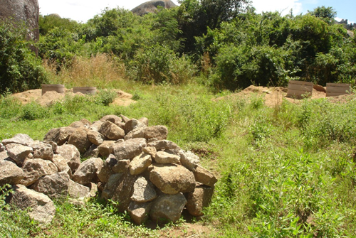 Isamilo Secondary School Toilets - tdcf