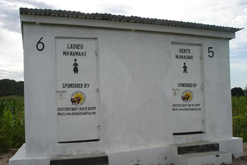 Nyanguge toilets - tdcf